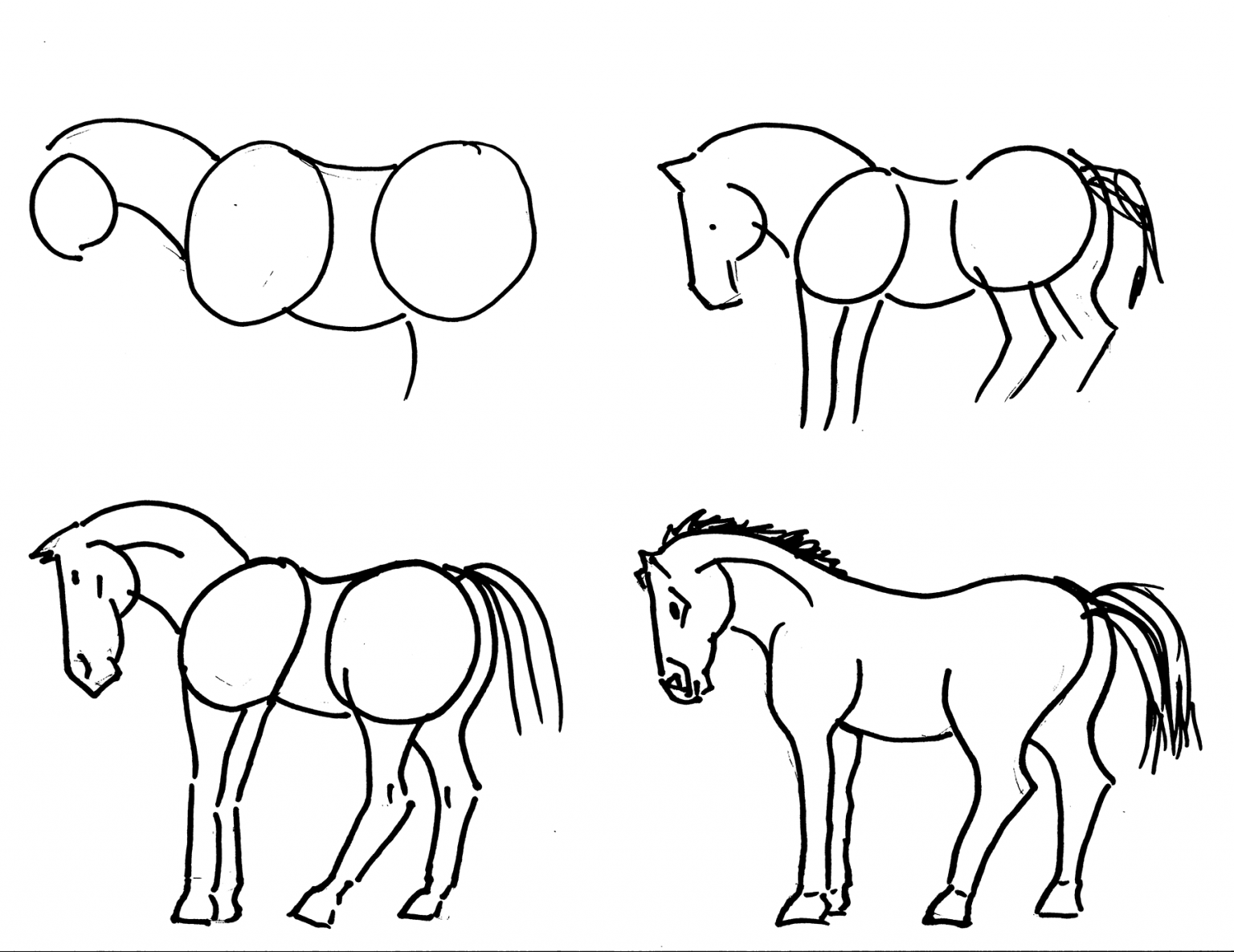 How to Draw Animals from Simple Shapes with Barbara & Artey | Golden ...