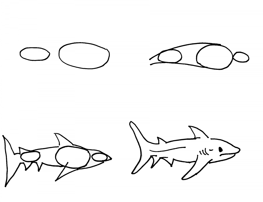 How to Draw Animals from Simple Shapes with Barbara & Artey | Golden ...