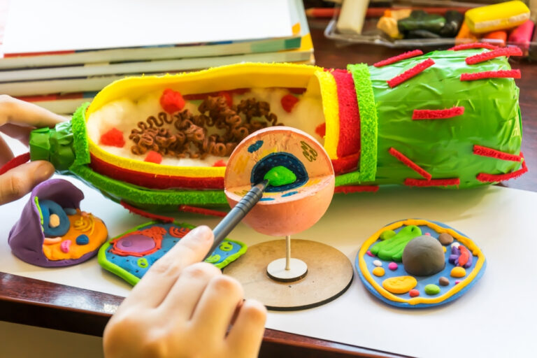 Guide to Integrating Creative Arts Into Classroom Curriculum | Golden ...